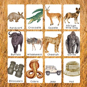 Safari Animal Flashcards Set of 24 Animal Flashcards African Animals ...