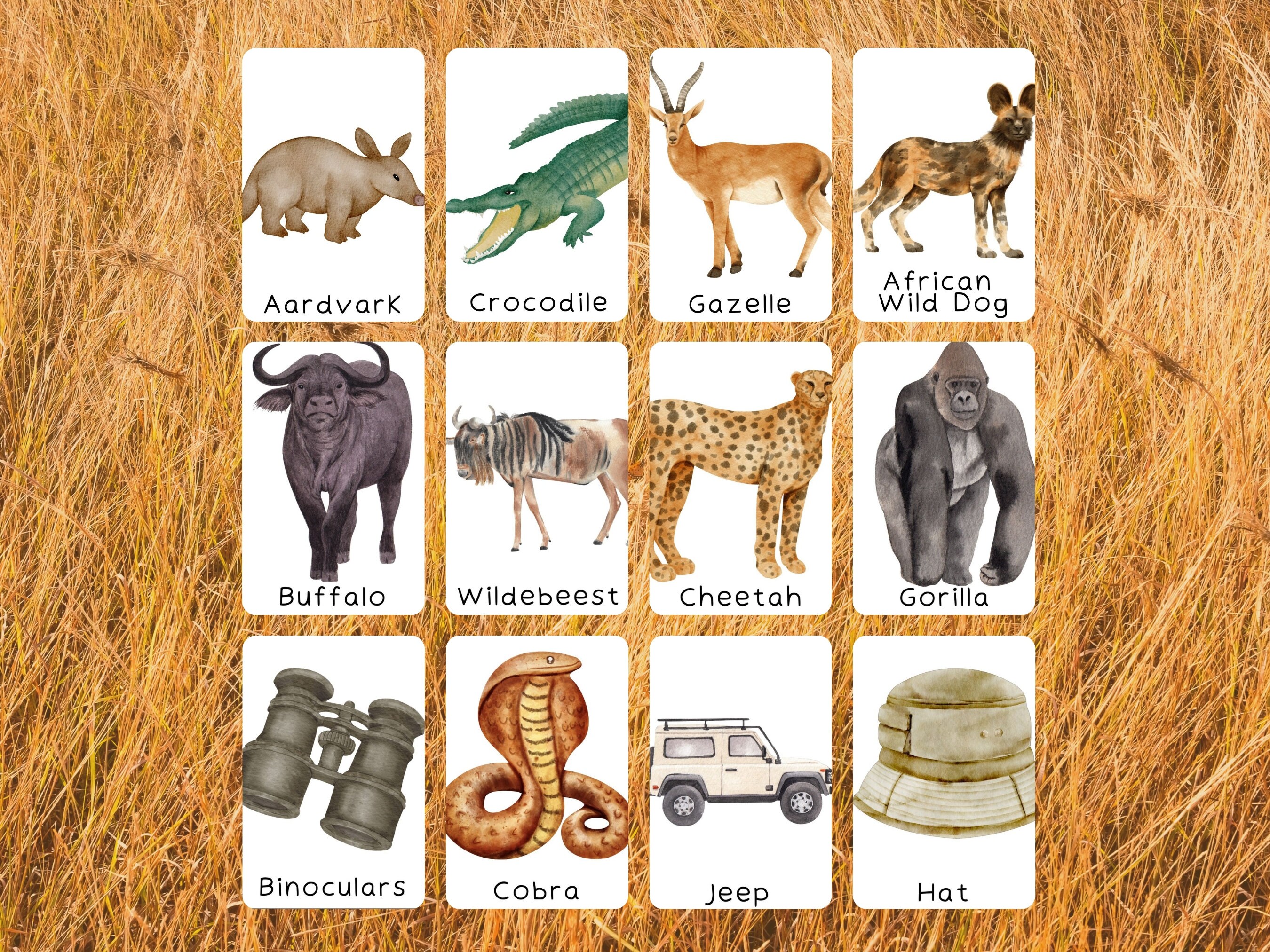 On Safari Flashcards Homeschool Printable Set of 24 Cards - Etsy