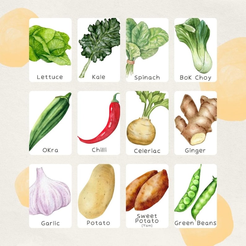 40 Vegetable Flashcards Montessori Homeschool Flashcards - Etsy
