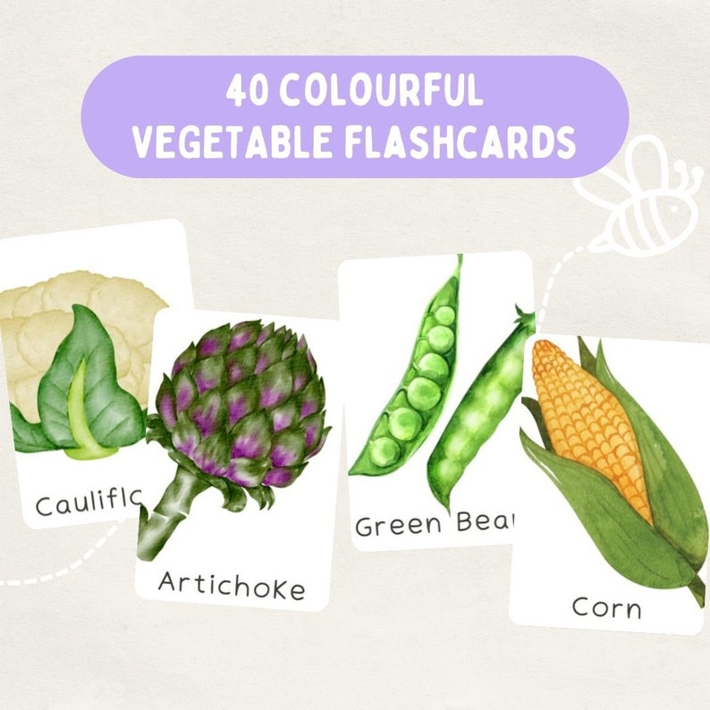 40 Vegetable Flashcards Montessori Homeschool Flashcards - Etsy