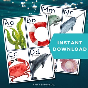 Ocean Animals Alphabet Flashcards | Learn the Alphabet Flashcards | ABC ...