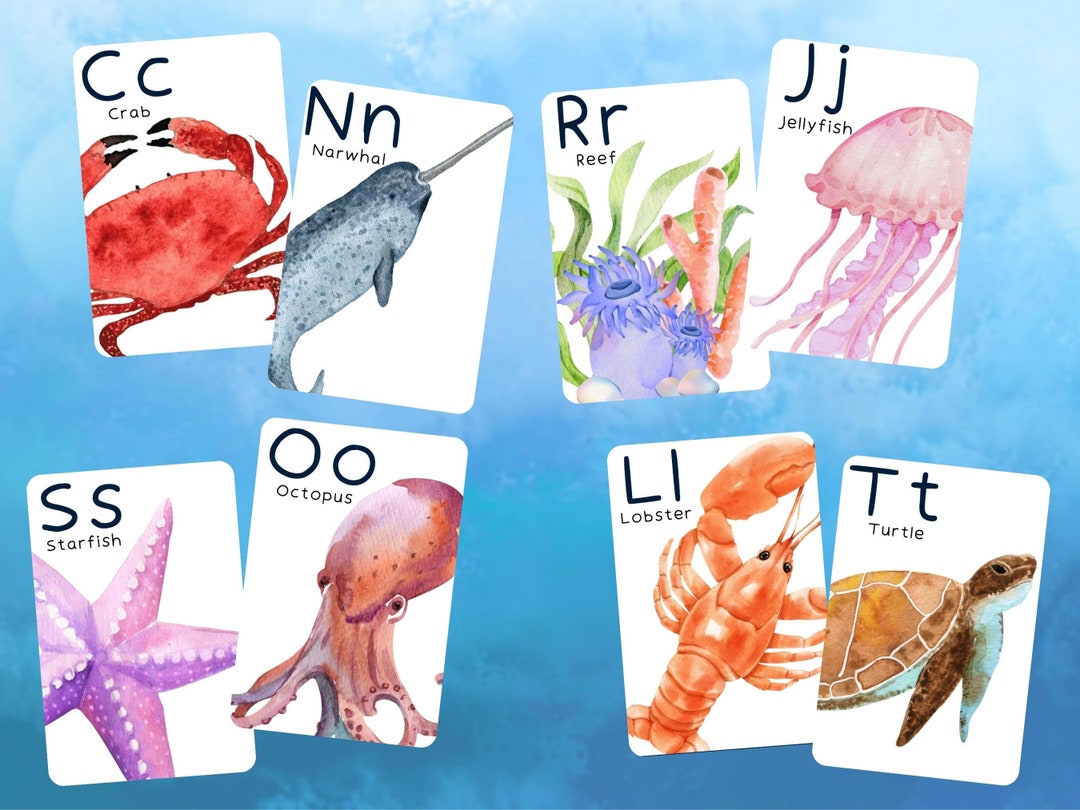 Ocean Animals Alphabet Flashcards | Learn the Alphabet Flashcards | ABC ...