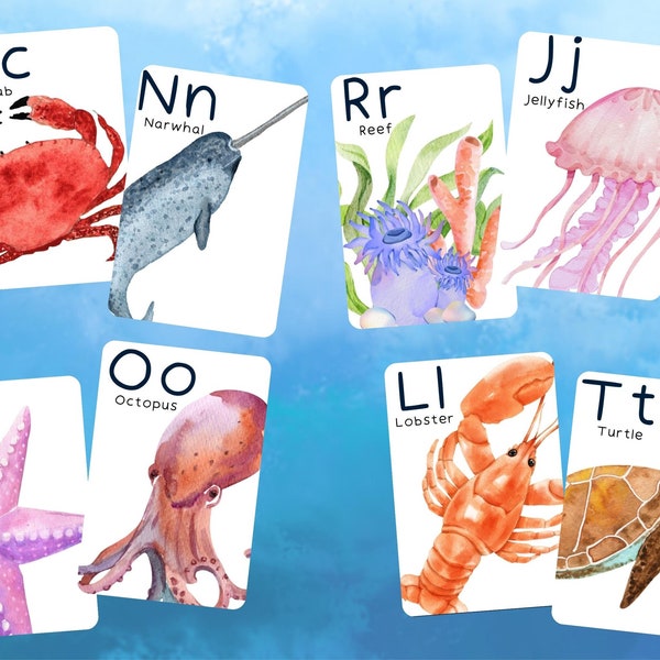 Alphabet Flashcards - Etsy