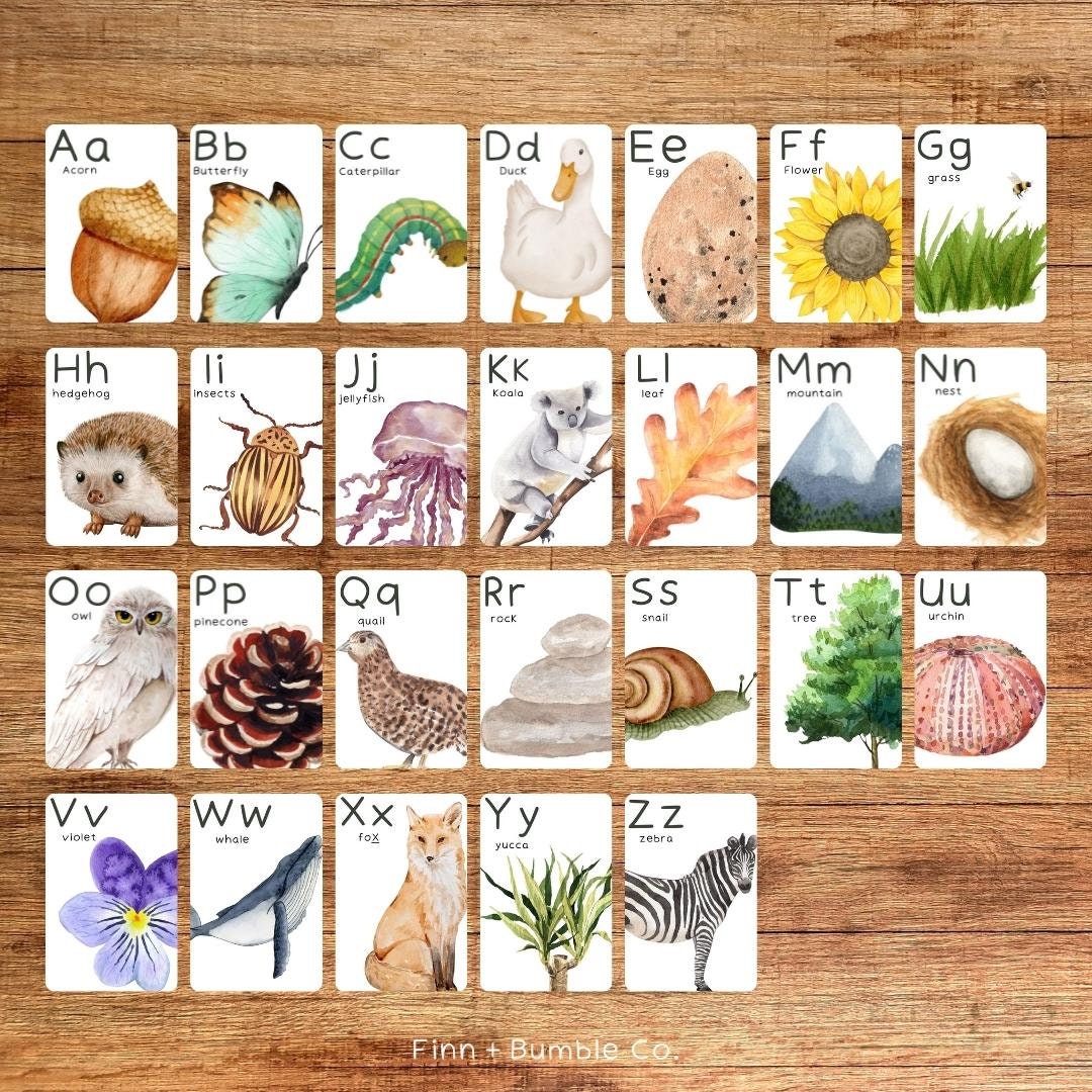 Buy Nature Alphabet Flashcards Alphabet Flashcards ABC Online in India ...