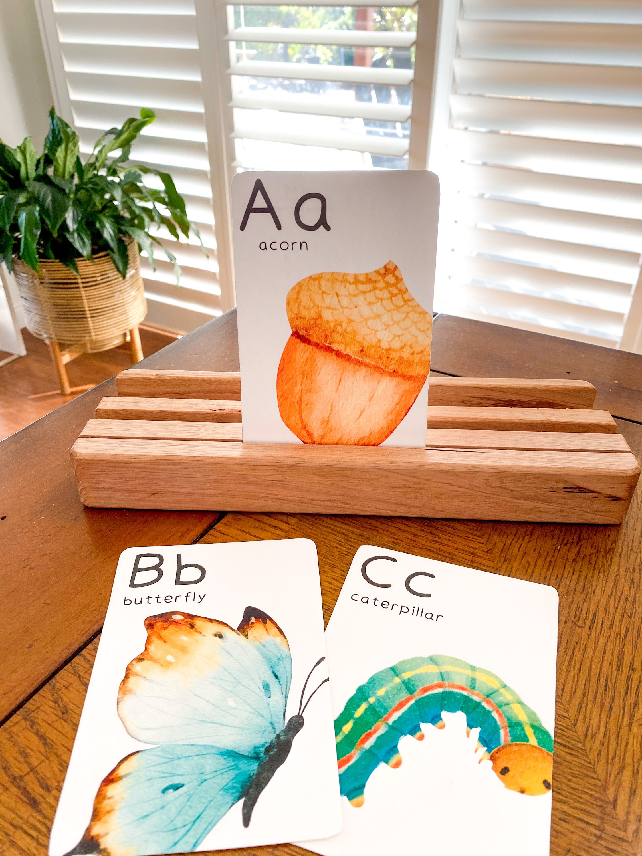 Buy Nature Alphabet Flashcards Alphabet Flashcards ABC Online in India ...