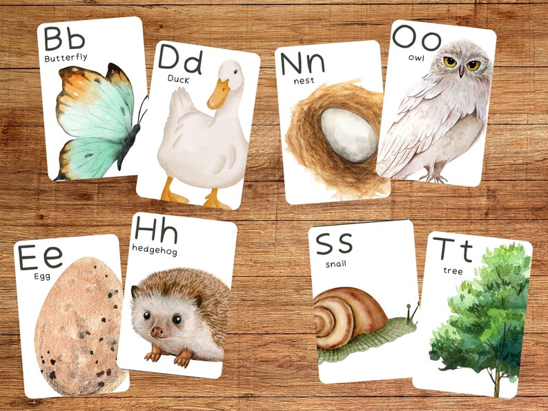 Nature Alphabet Flashcards Alphabet Flashcards ABC - Etsy Australia
