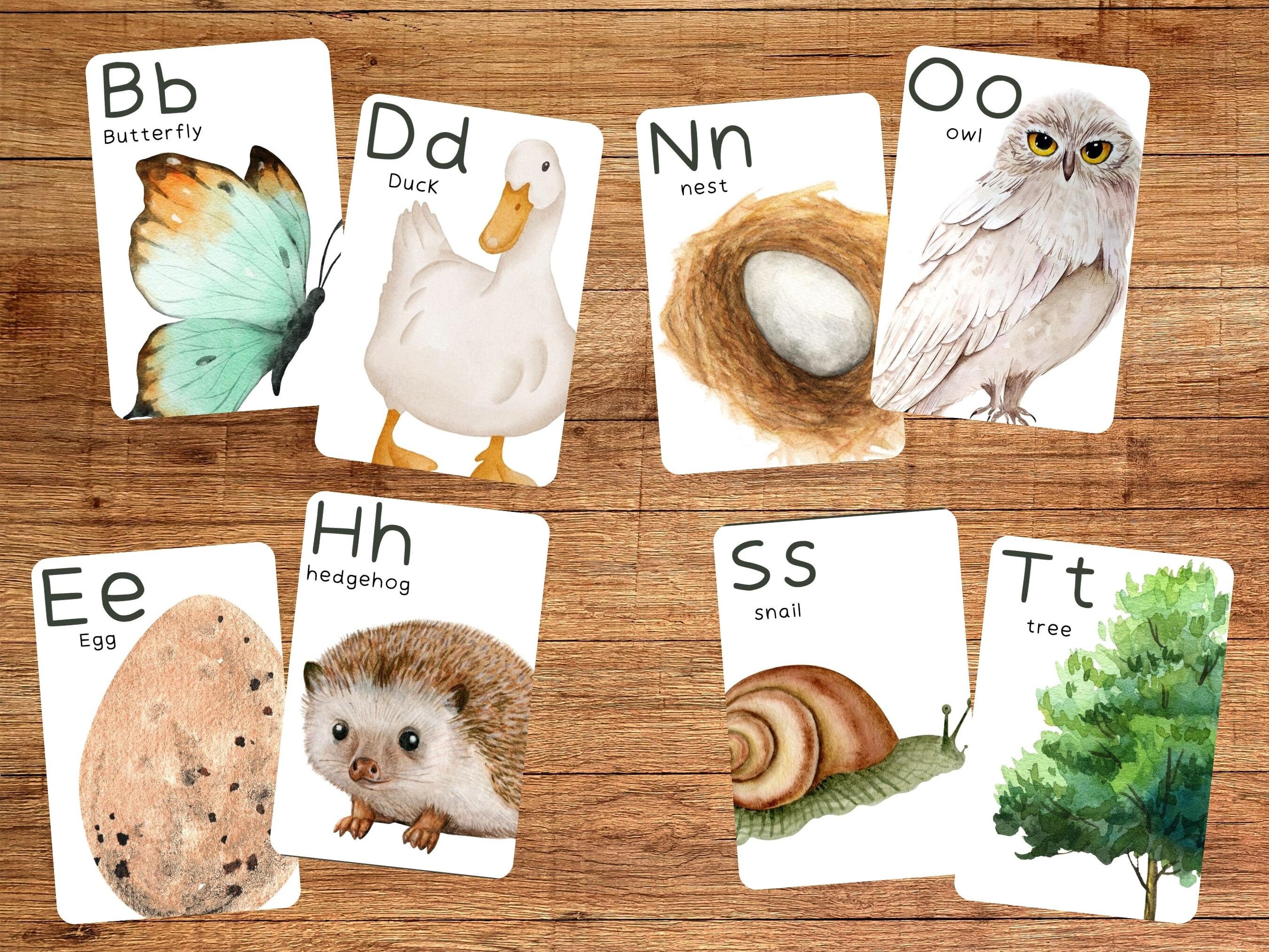 Nature Alphabet Flashcards Alphabet Flashcards ABC - Etsy Australia