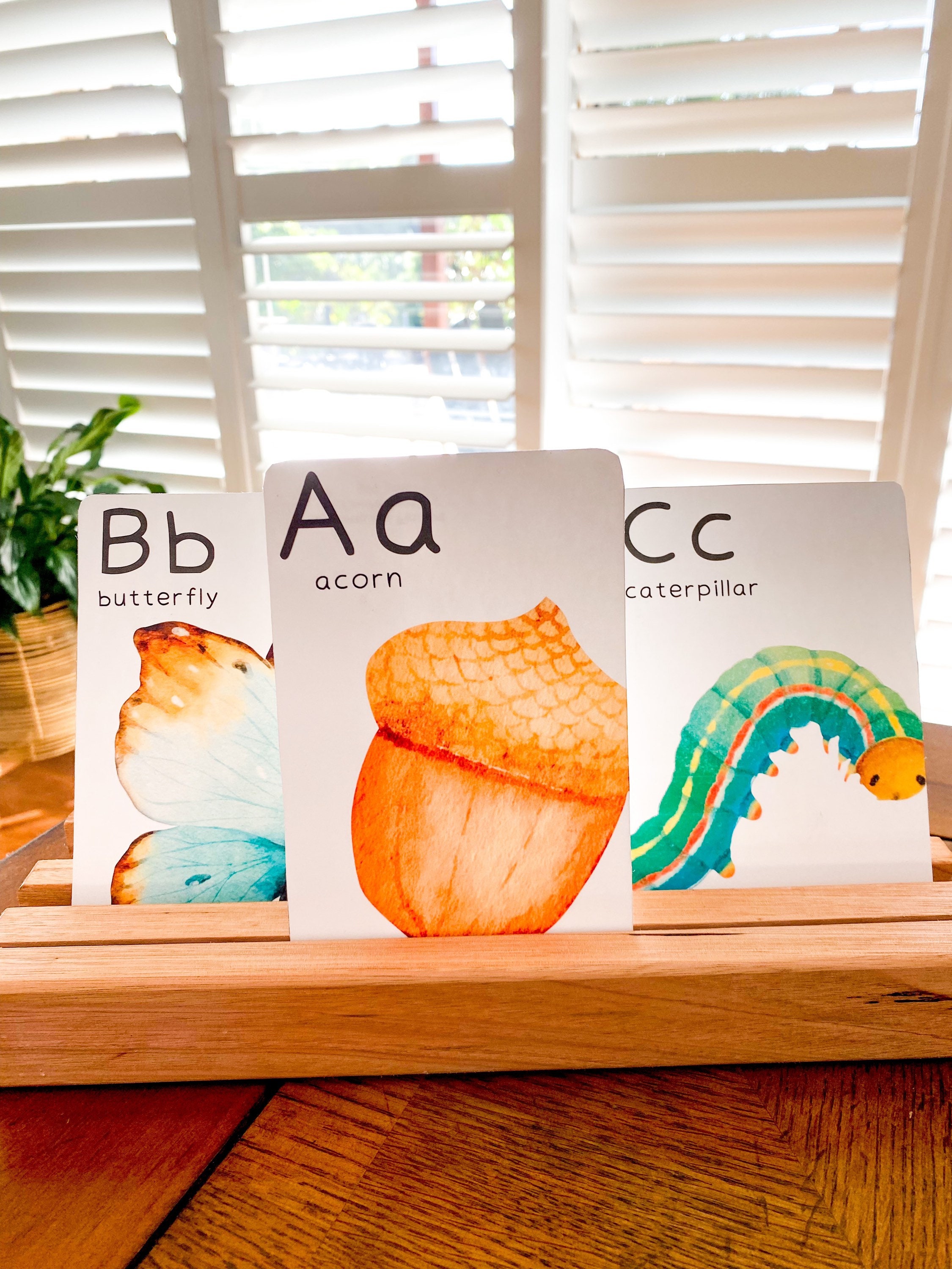 Buy Nature Alphabet Flashcards Alphabet Flashcards ABC Online in India ...
