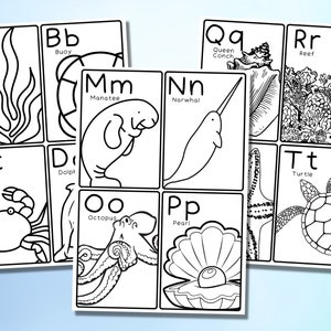 Colouring Flashcards Ocean Vocabulary | Colouring Flashcards | Ocean ...