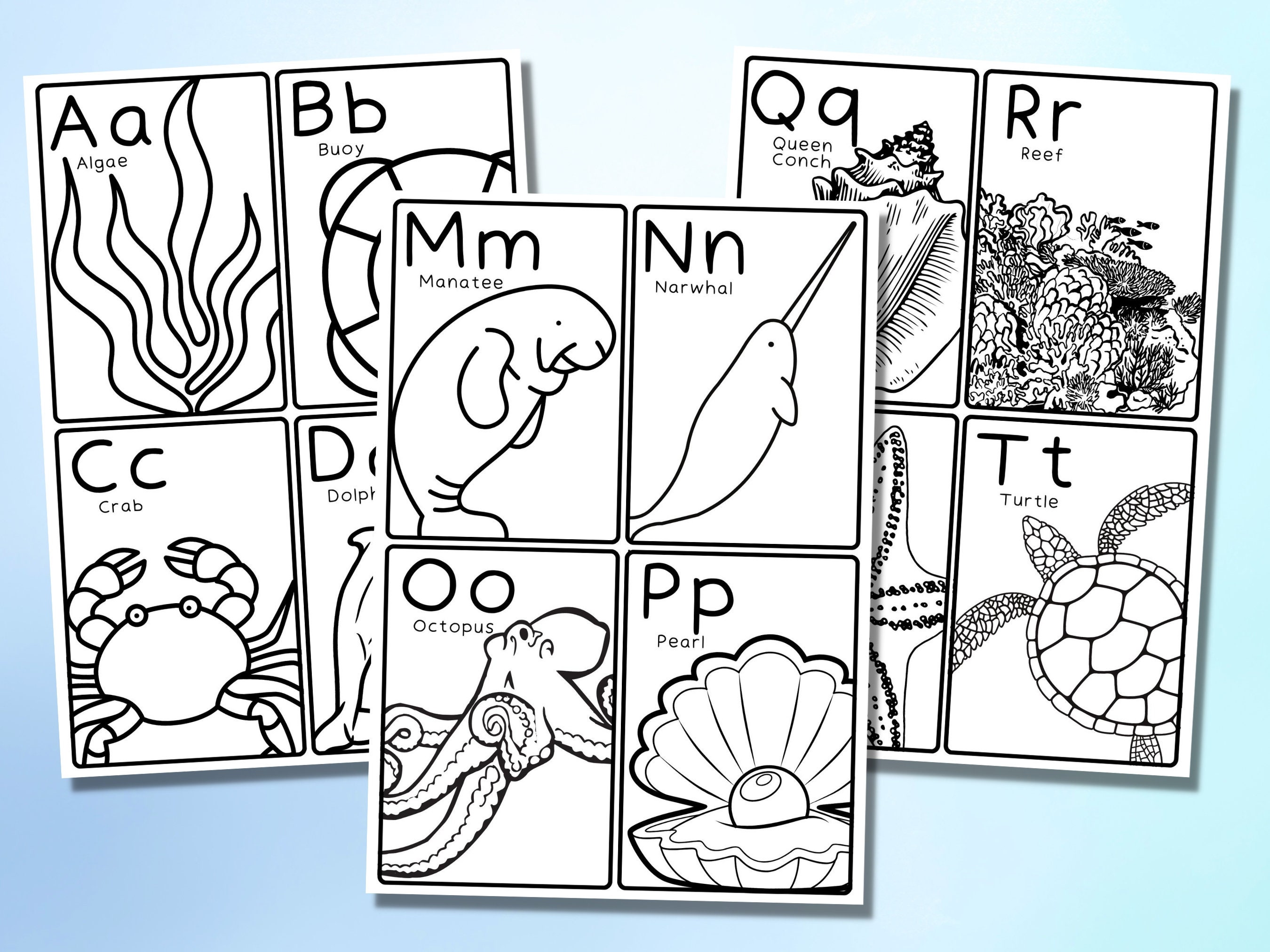 B&W Ocean Vocabulary Flashcards Colouring Flashcards Ocean - Etsy