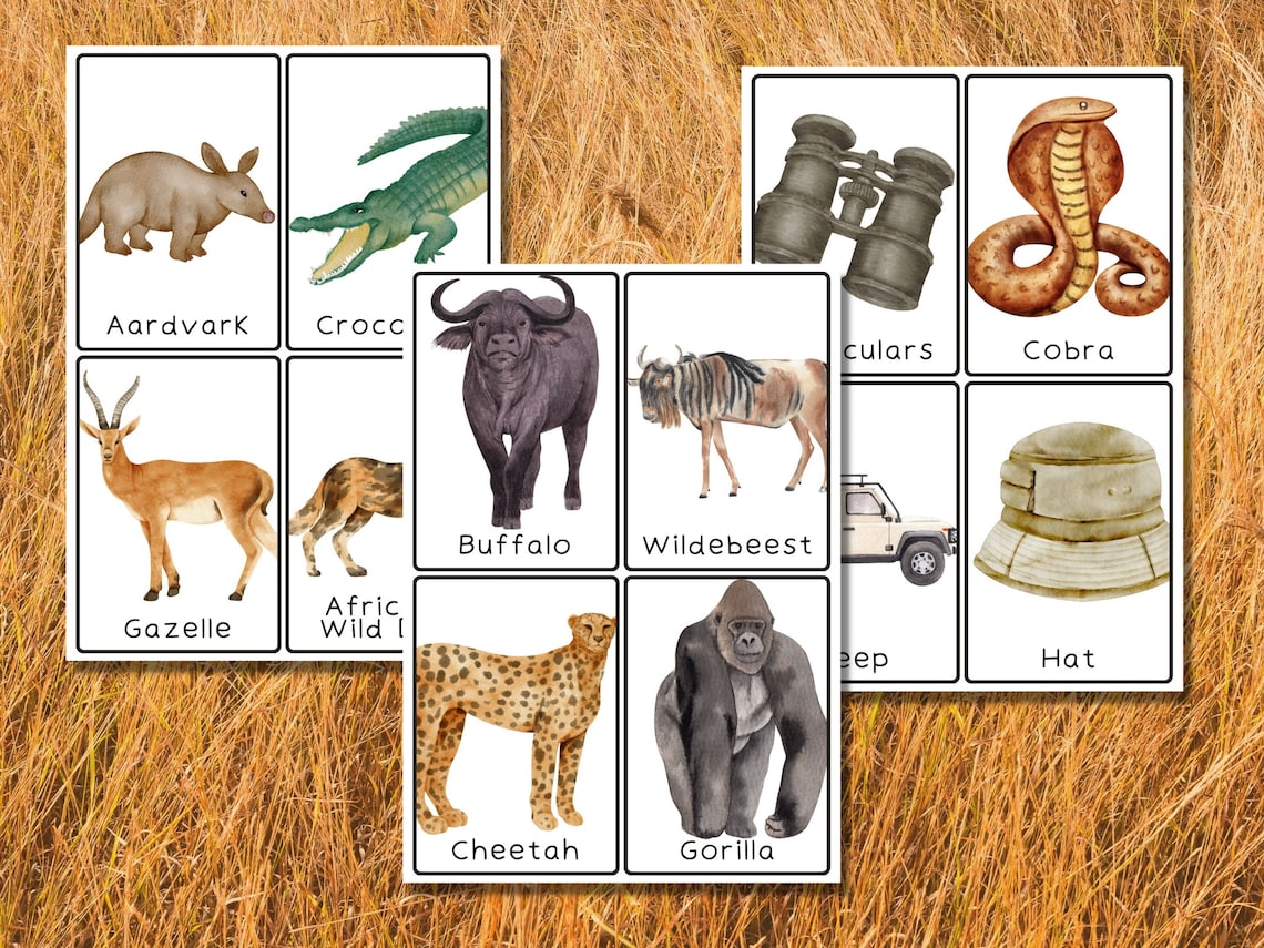 Safari Animal Flashcards Set of 24 Animal Flashcards African Animals ...