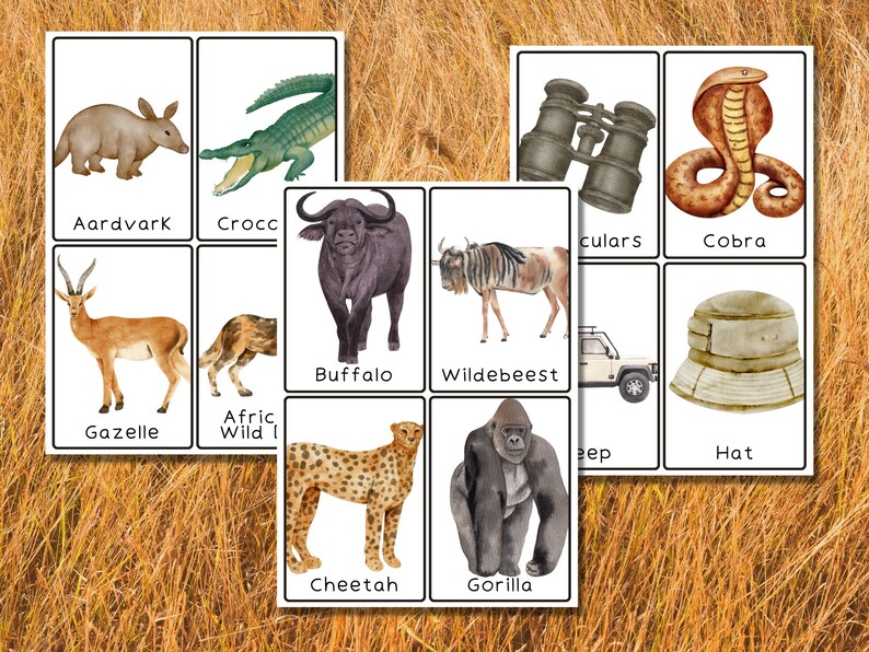 On Safari Flashcards Homeschool Printable Set of 24 Cards - Etsy