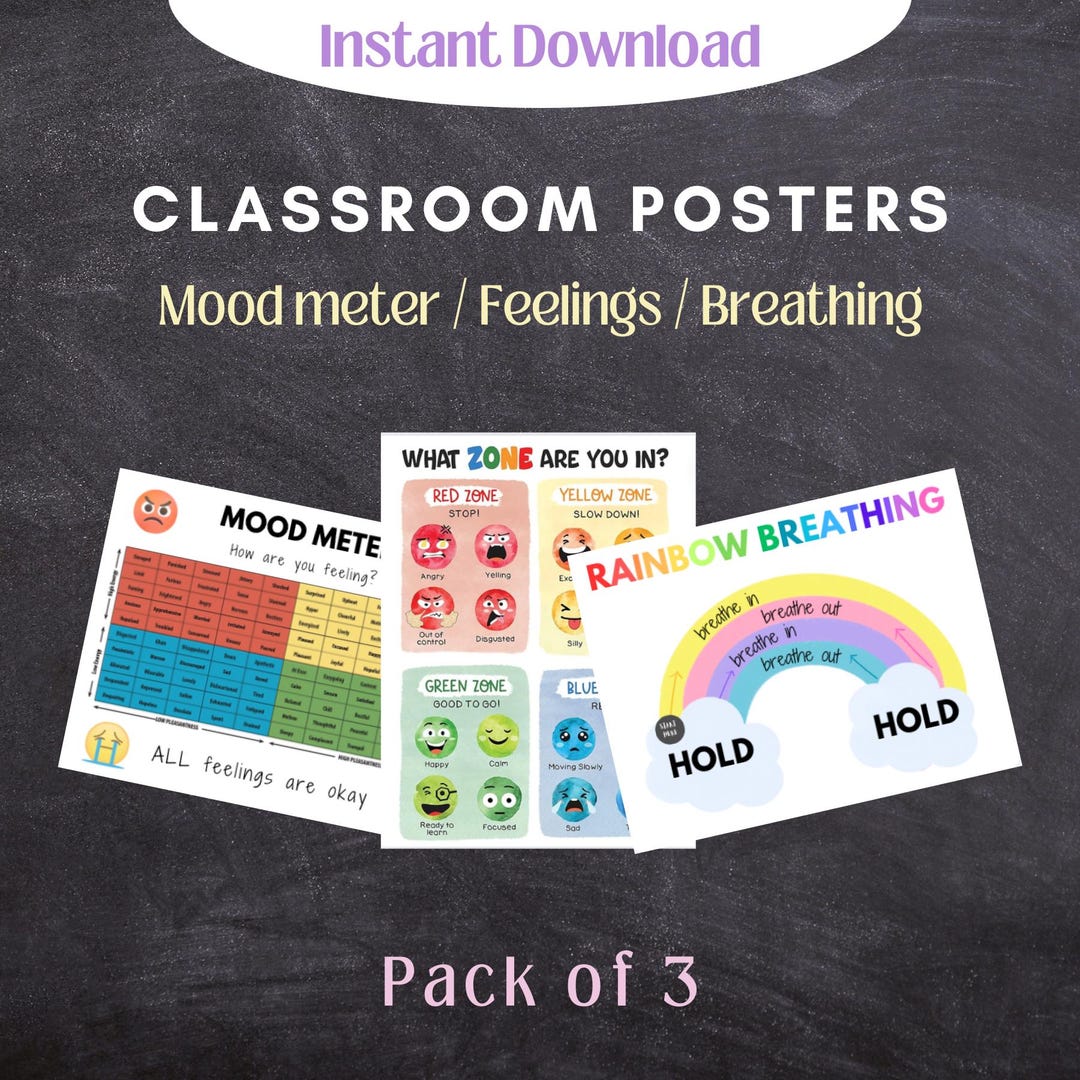 SEL / Classroom Posters- Digital Download - Etsy Australia