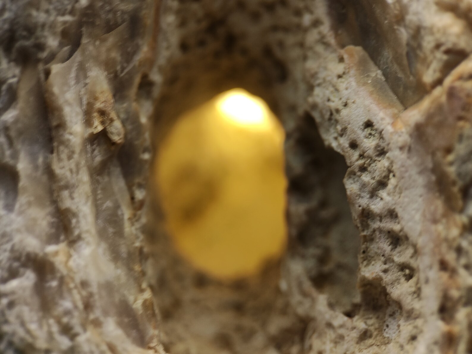 Pendant With Hag Stone Witch's Stone Stone With a Hole - Etsy