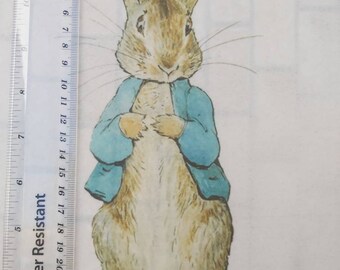 Peter Rabbit Svg | Etsy UK