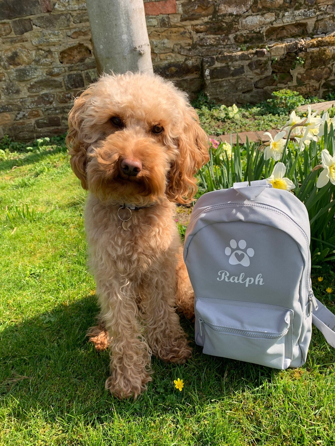 Personalised Dog Backpack | Pet Backpack | Dog Rucksack | Puppy Gift ...