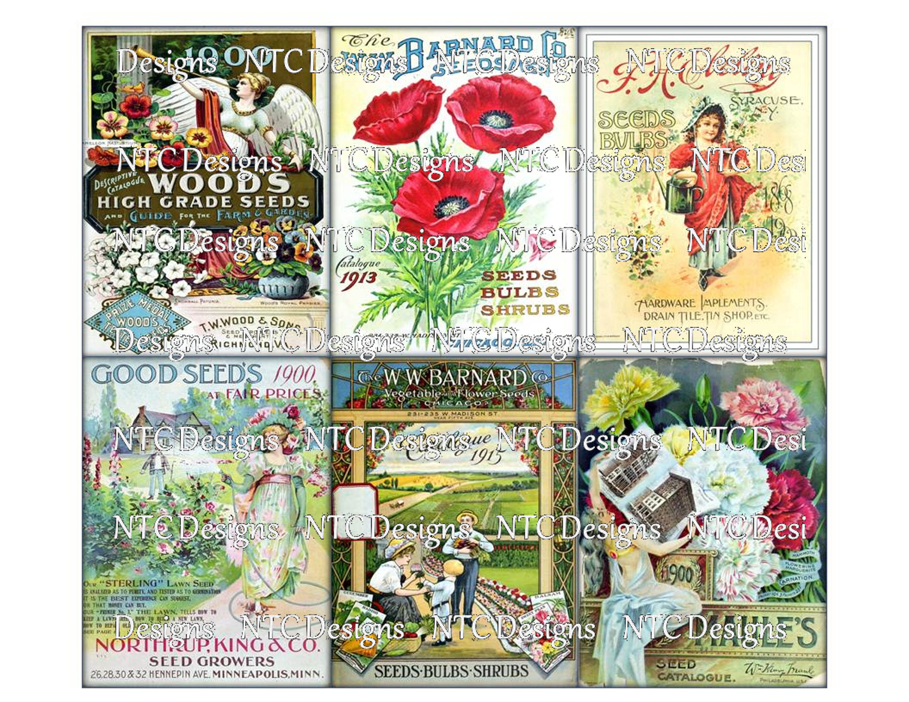 Vintage Seed Catalog Covers: Retro Ephemera, Scrapbook Printables ...