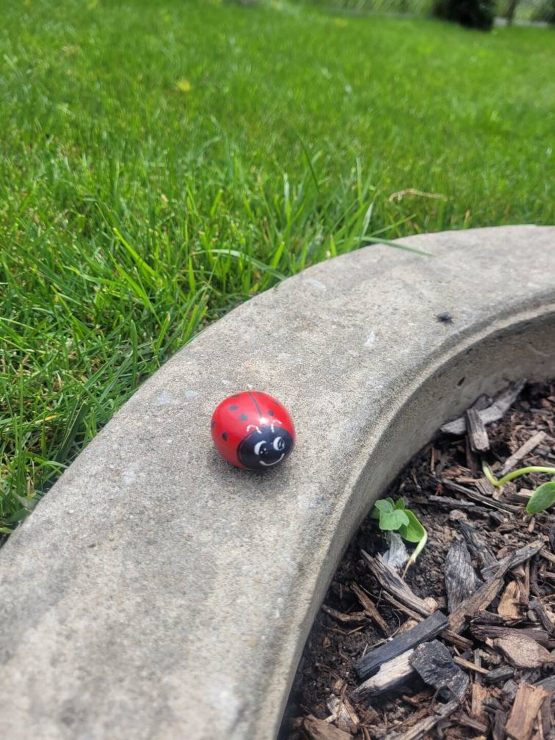 Mini Ladybug - Etsy