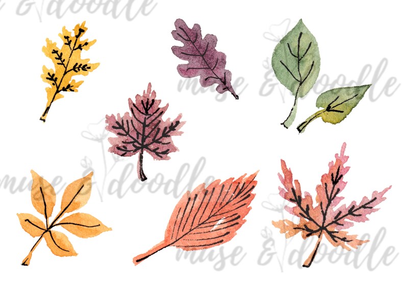Fall Clipart | Digital Download | Hand-drawn, Watercolor | Cozy Autumn ...