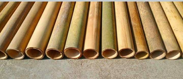 Bamboo Row Meterial Bamboo 10ps From G Natural Bess Bass to Scale 440hz ...