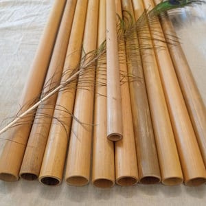 Bamboo Row Meterial Bamboo 10ps From G Natural Bess Bass to Scale ...