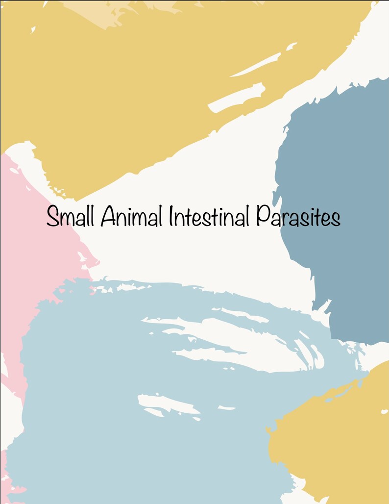 Small Animal Intestinal Parasites - Etsy