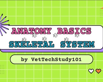 Veterinary Blood Cells Flash Cards companion Animal - Etsy UK