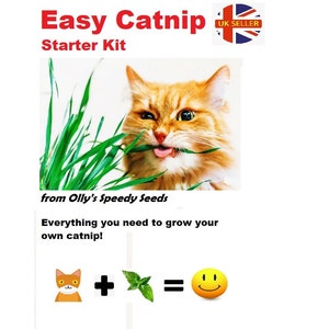 Grow Your Own Catnip Kit Windowsill or Outdoor Catmint - Etsy UK
