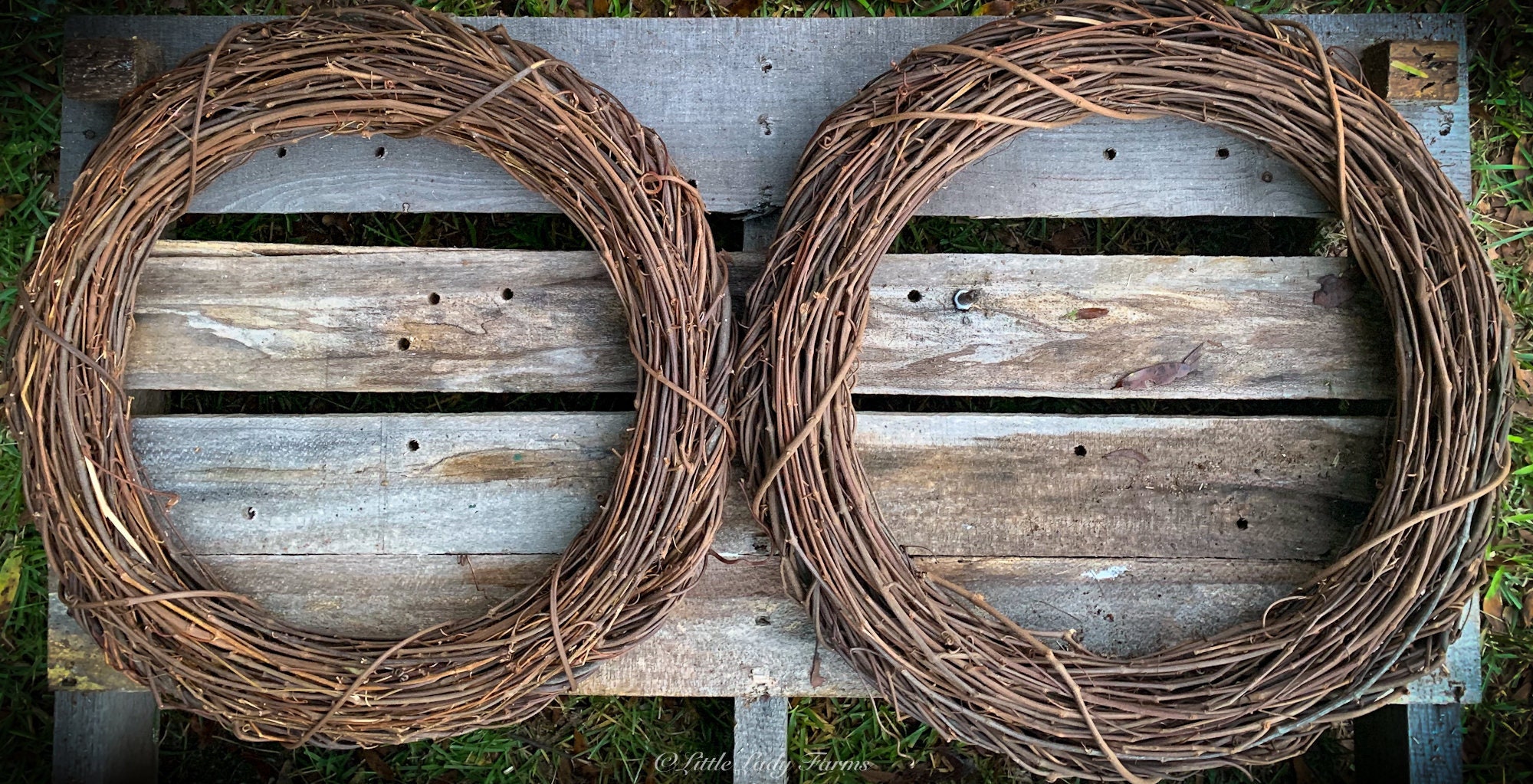 Thick Grapevine Wreath Form - Etsy