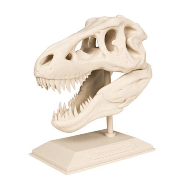T Rex Head - Etsy