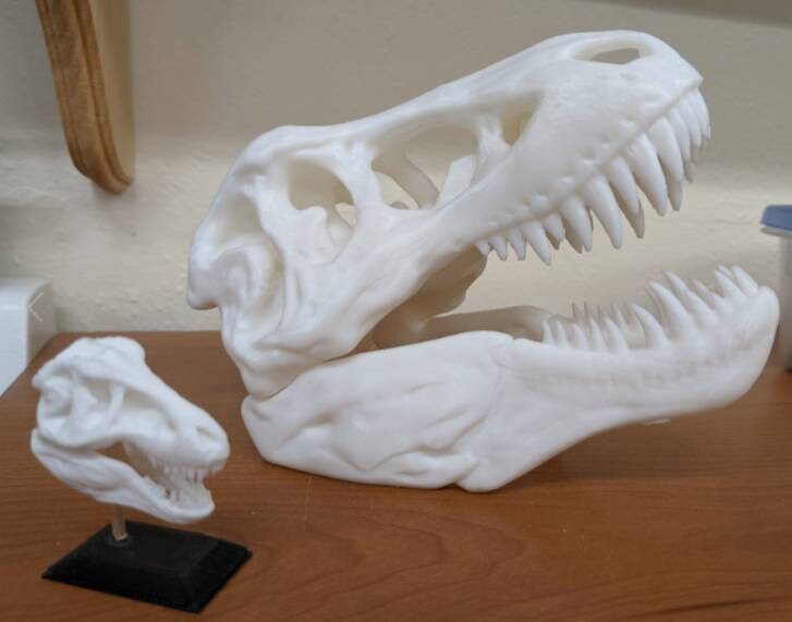 Customizable 3D Printed T-rex Head Skeleton - Etsy