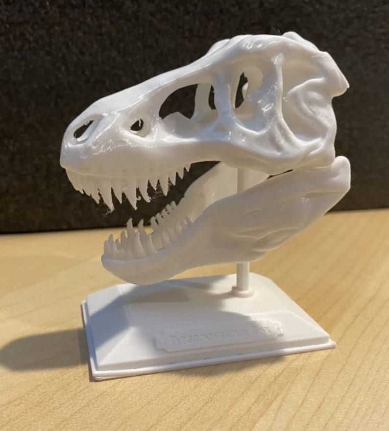 Customizable 3D Printed T-rex Head Skeleton - Etsy