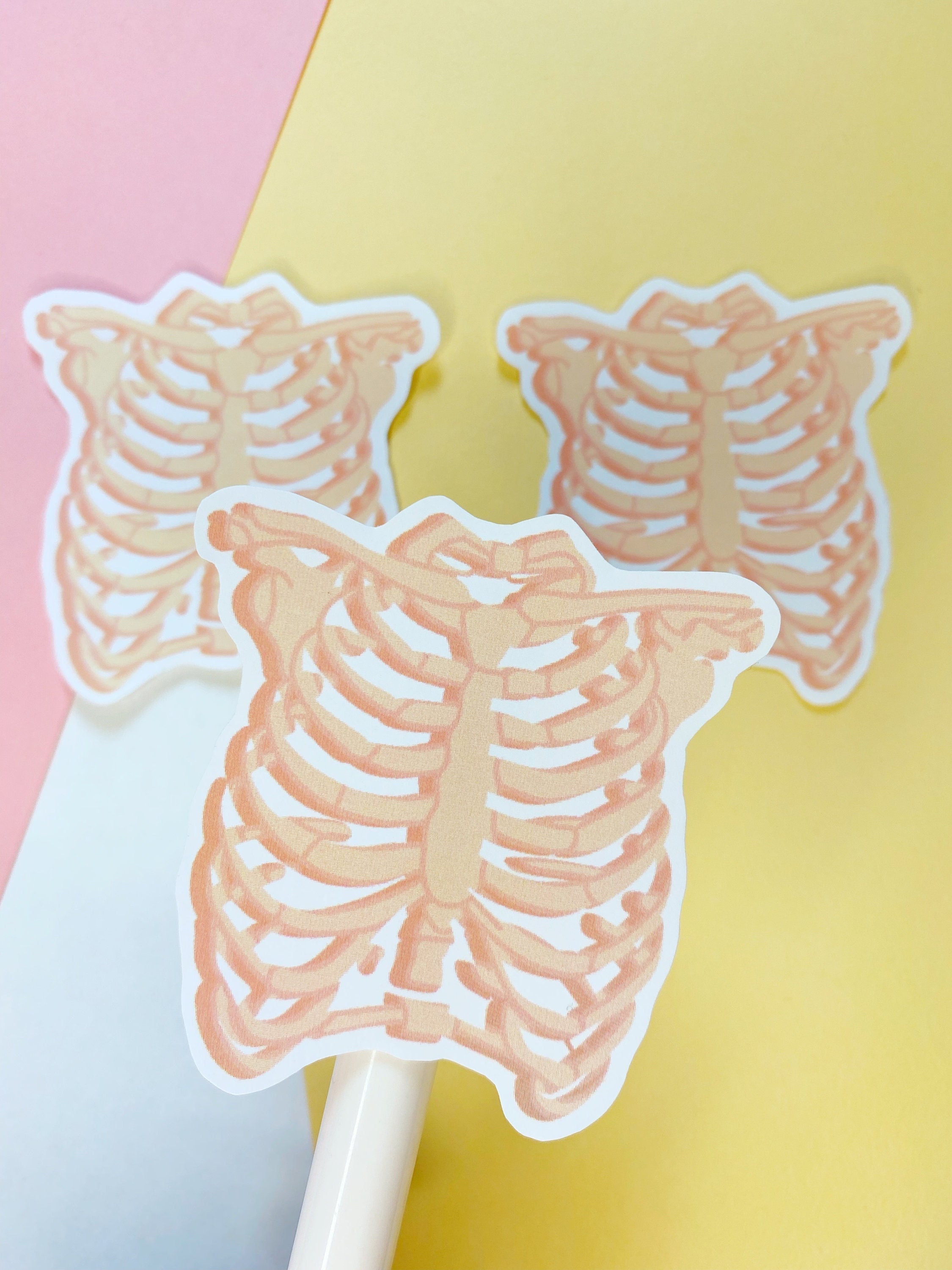 Abstract Rib-cage Sticker Aesthetic, Cute Stickers for Healthcare ...