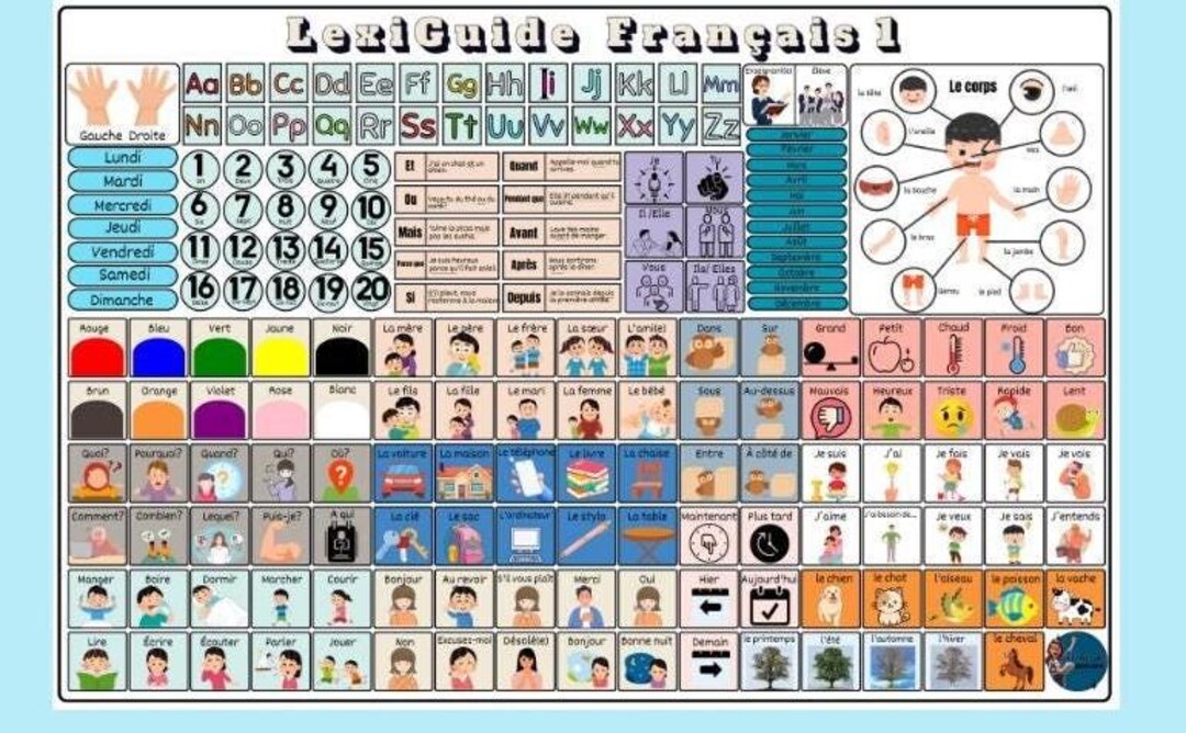 French Lexiguide Digital French Basic Vocabulary Communication Poster ...
