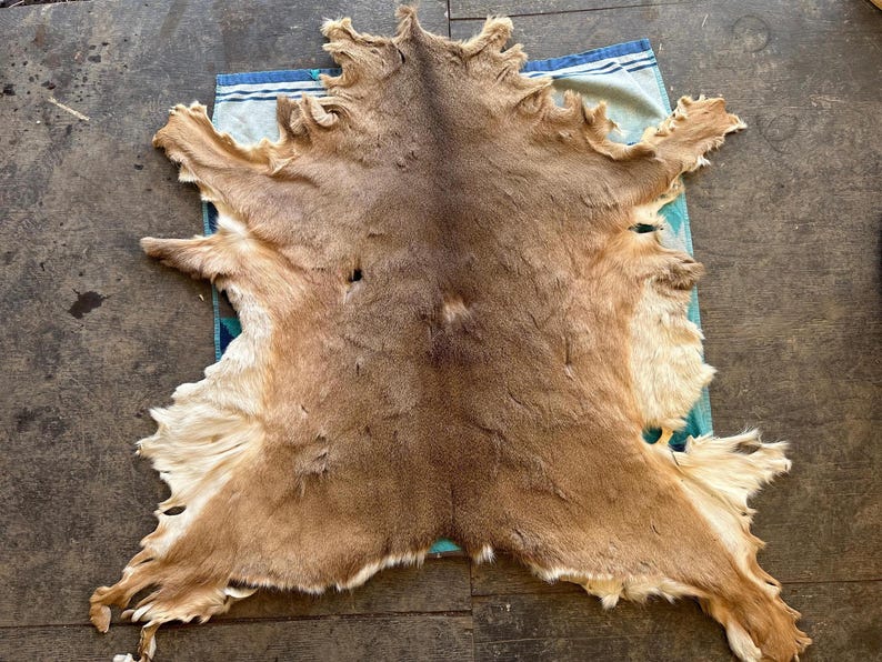 Brain Tan Hair on Deer Hide - Etsy