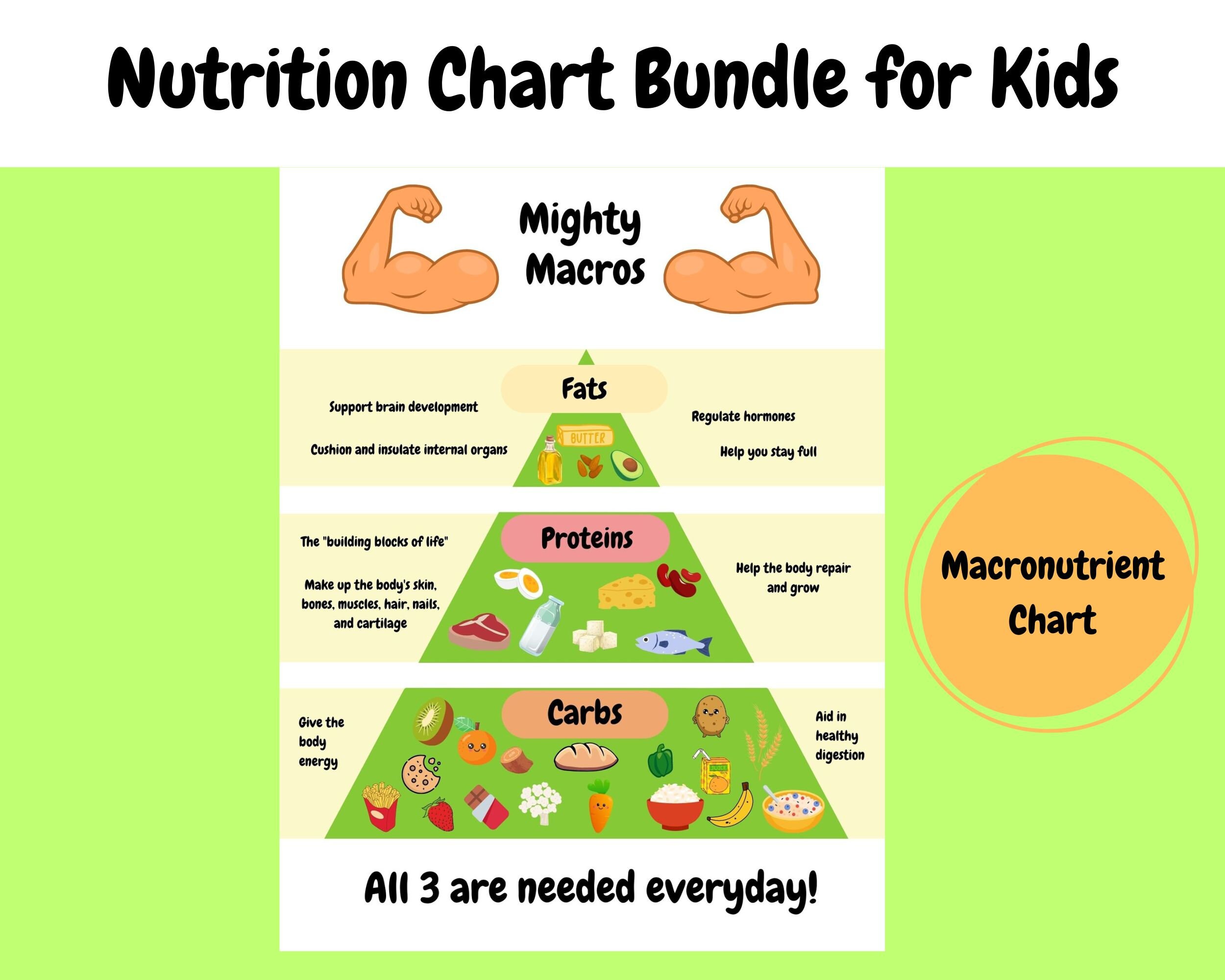 Kids Nutrition Poster Bundle Vitamins Minerals Macronutrients PDF