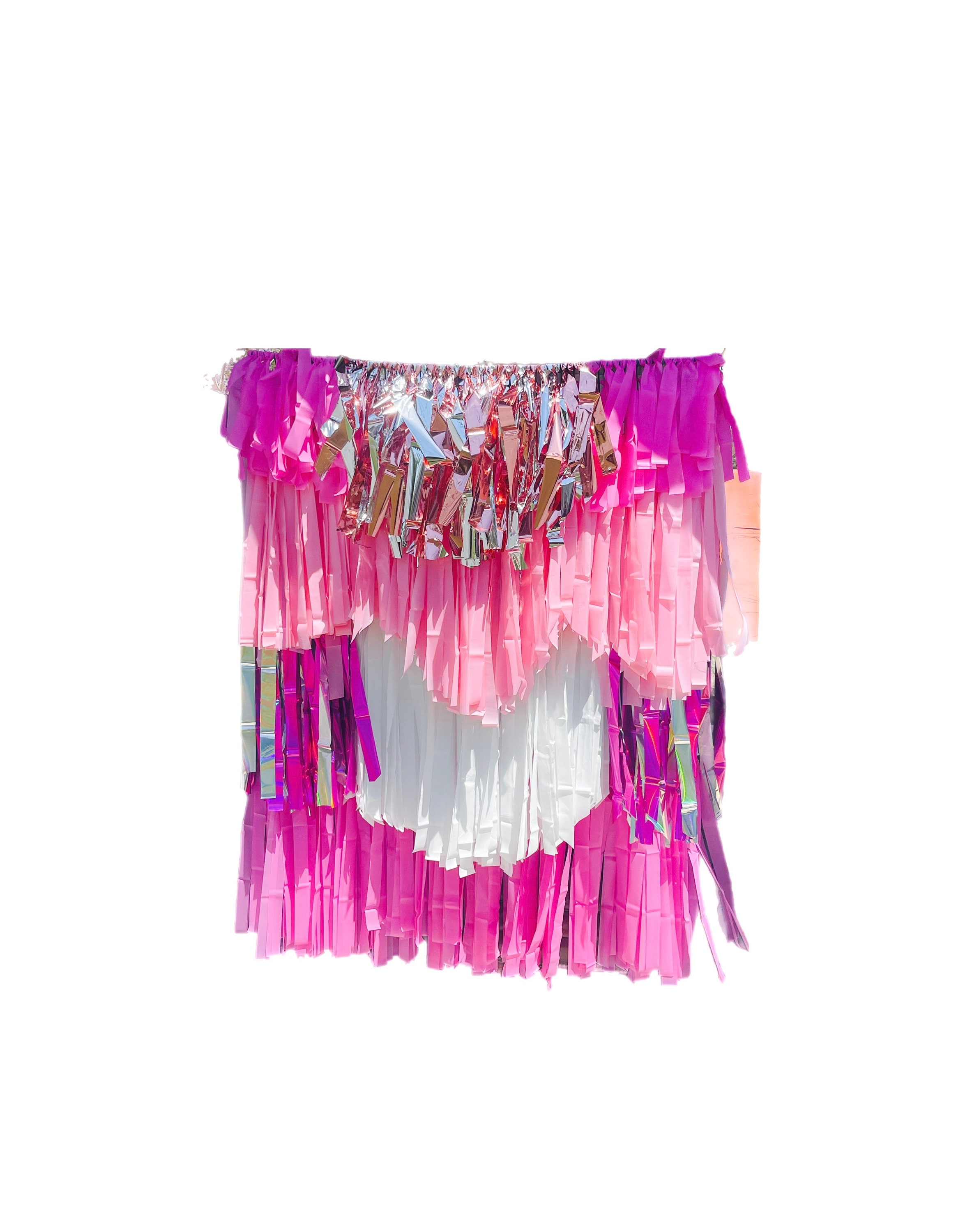 Fringe Backdrop/ Customizable up to 4 Colors/ Bachelorette Party ...