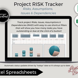Project Management RAID Log: Risk, Issue, Action Tracker (excel ...