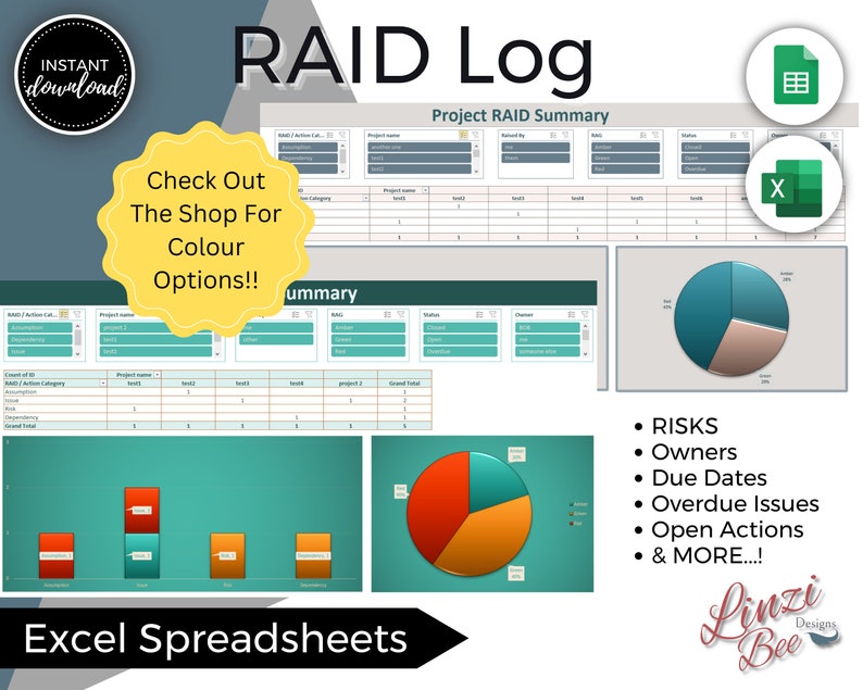 Project Management Raid Log, Risk Tracker, Actions Log, RACI, PMO ...