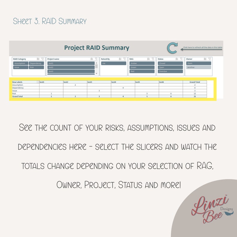 Project Management Risk Tracker, Actions Log, RAID Log, RACI, PMO ...