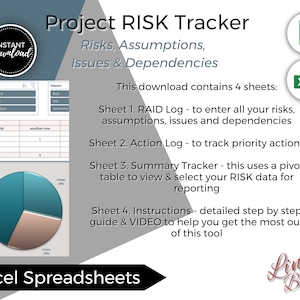 Project Management RAID Log: Risk, Issue, Action Tracker (excel ...