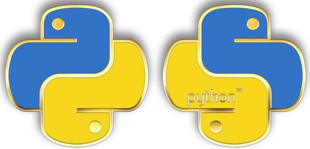 Python Coin - Etsy