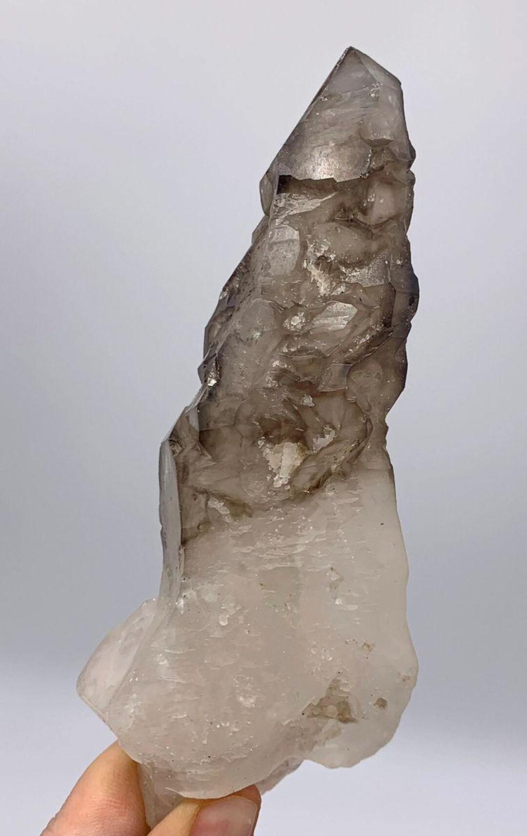 Interestingly Formed Smoky Quartz Jacare Crystal With Enhydro ...