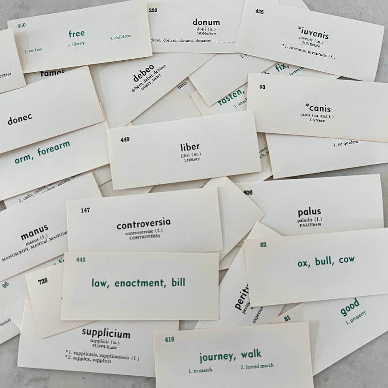 Vocabulary Cards - Etsy