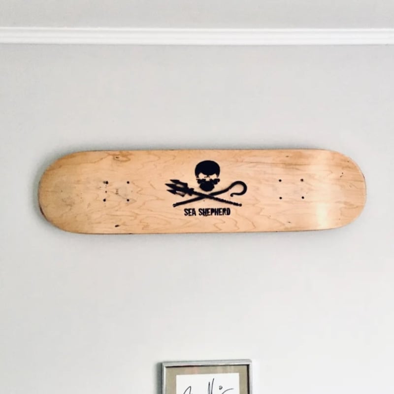 Skate Deck Art Wall Mount - Etsy