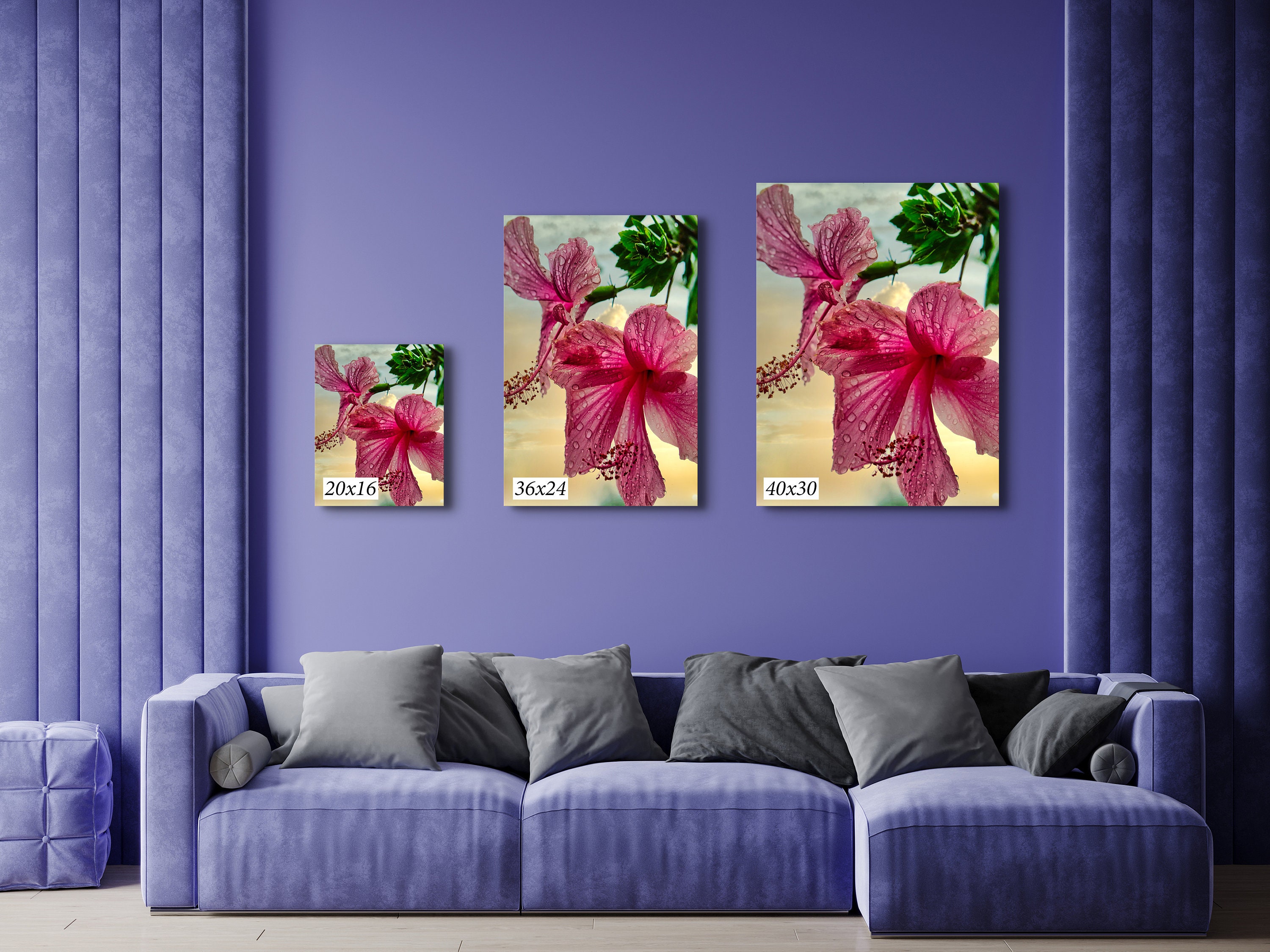 Pink Hibiscus Framed Against Late Afternoon Sky, Translucent Hibiscus ...