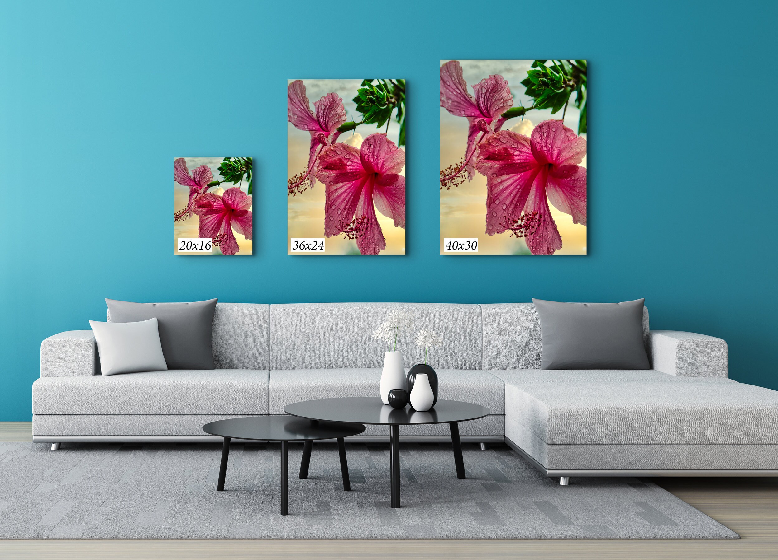 Pink Hibiscus Framed Against Late Afternoon Sky, Translucent Hibiscus ...
