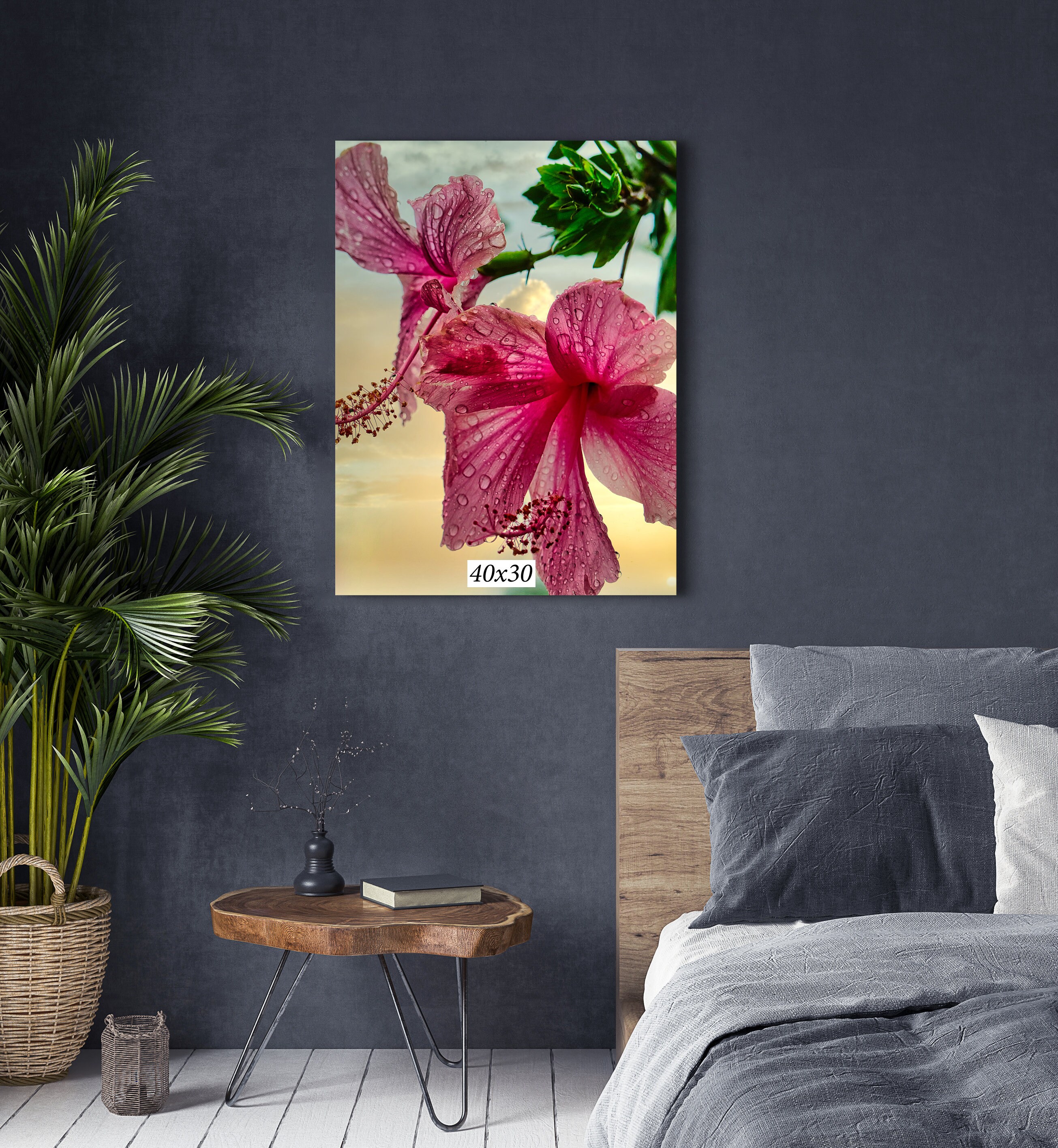 Pink Hibiscus Framed Against Late Afternoon Sky, Translucent Hibiscus ...