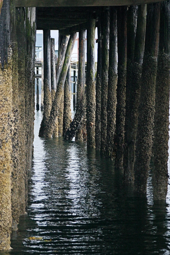 Color Version of Kake AK Historic Pier Pilings | Etsy