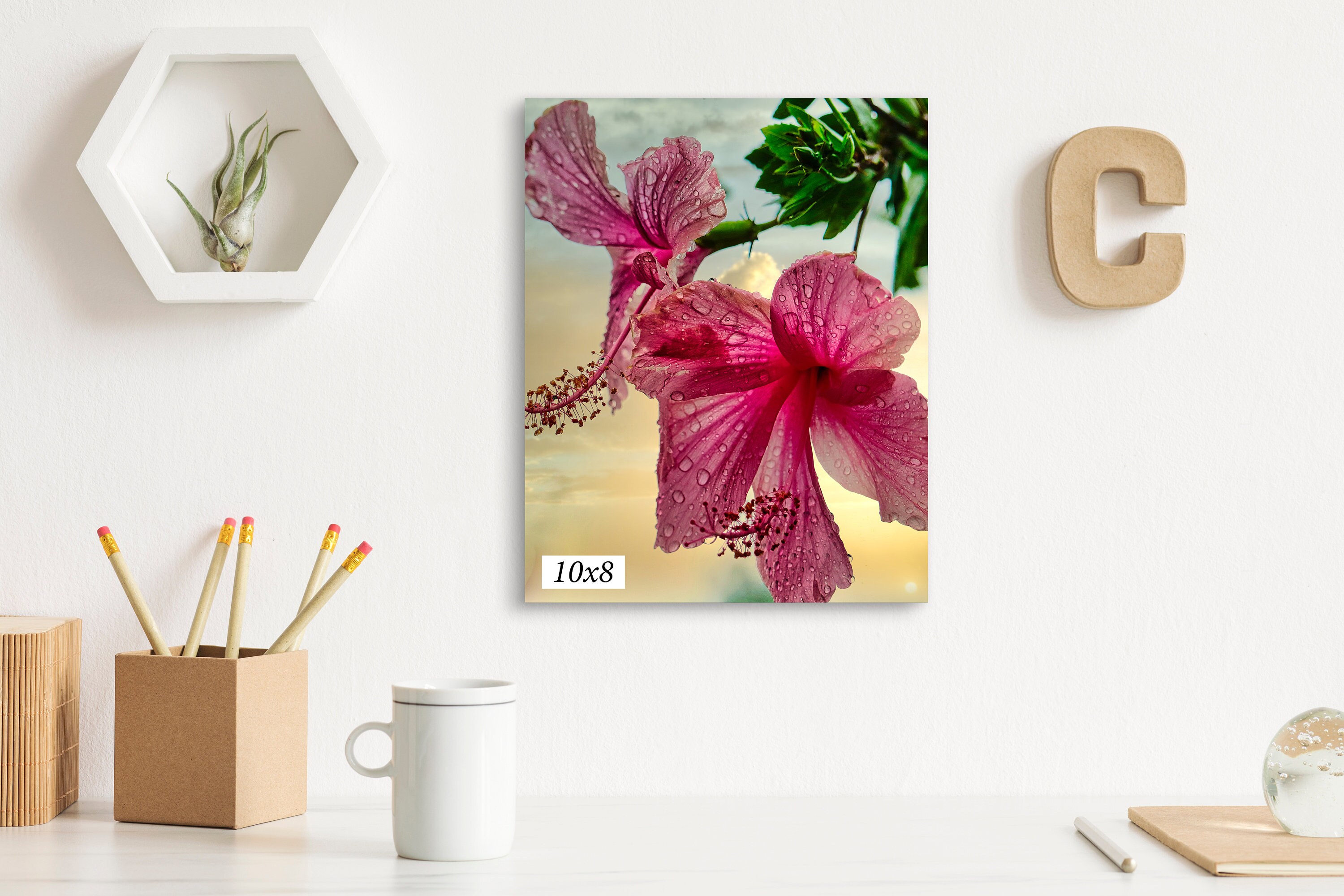 Pink Hibiscus Framed Against Late Afternoon Sky, Translucent Hibiscus ...